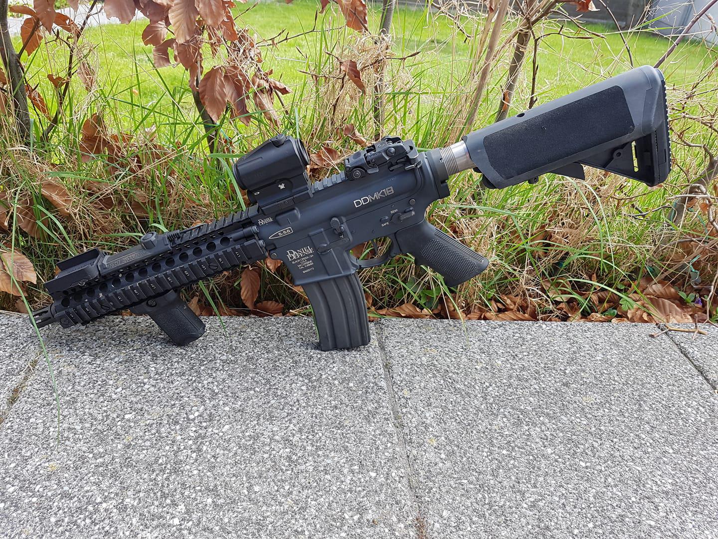 Topic: Systema Daniel defense PTW